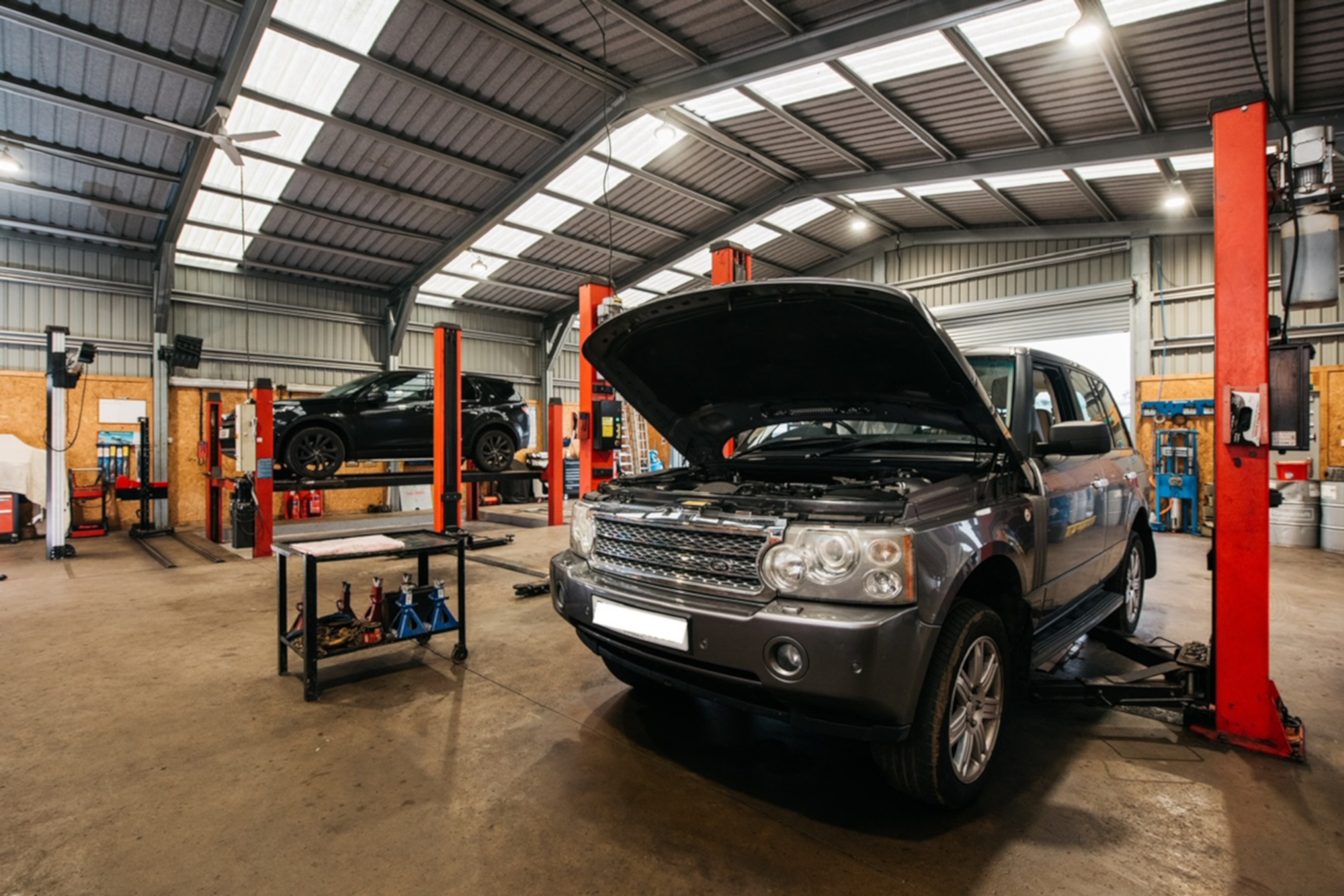 Search Results - BTN Automotive - German Car Specialists